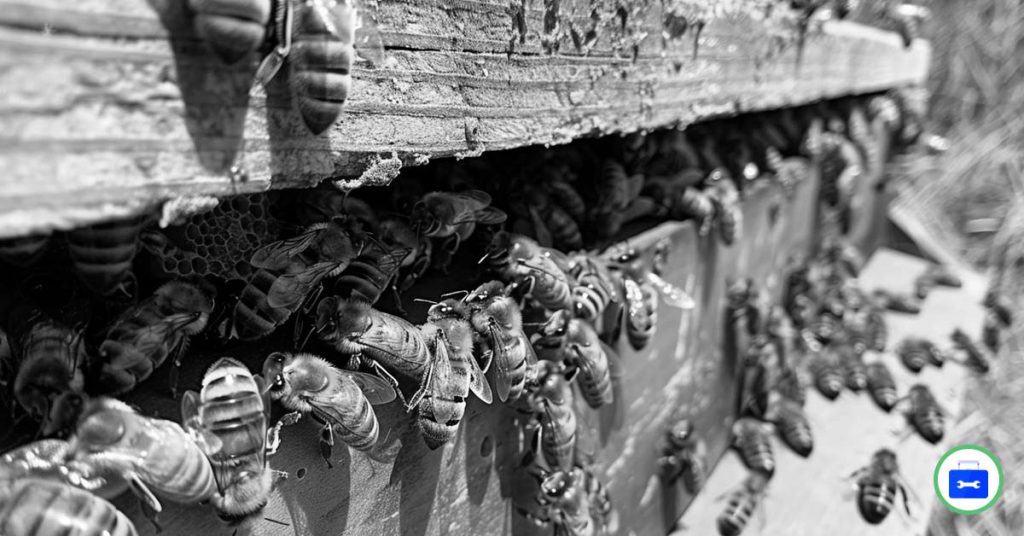 Toolbox Talk Hygiene Cairnmead